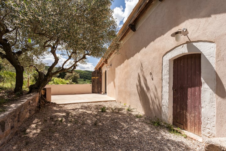 Mazet Au Cœur D'oliviers Nébian - Clermont-l'Hérault