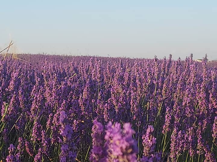 Dépendance De Bastide Provençale - Manosque