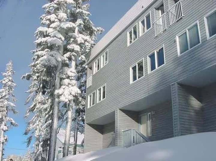 Cozy 3-bedroom Townhome W/ Sauna In Mt. Washington - Mount Washington
