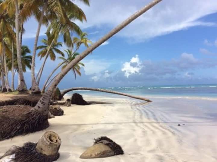 Las Terrenas Villas | House and Villa Rentals | Airbnb
