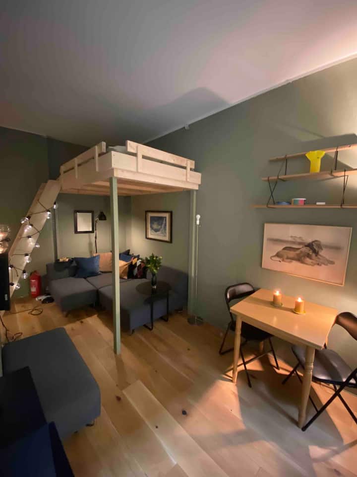 Studio Leilighet Midt På Løkka - Oslo