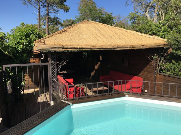 Maison De Charme Avec Piscine à Porto Vecchio - Porto-Vecchio