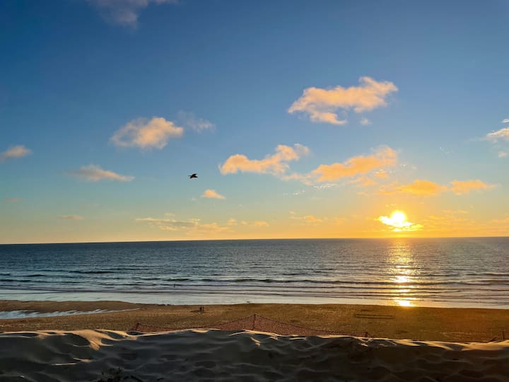 Appartement Biscarrosse Plage - Biscarrosse