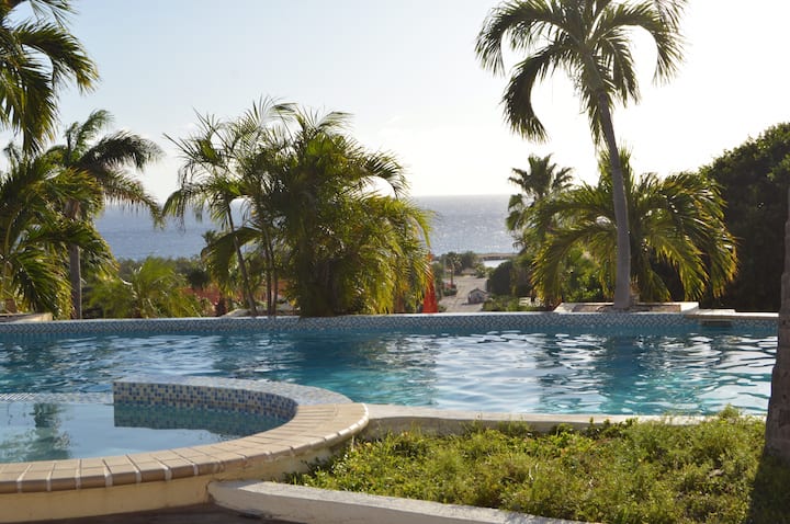 Royal Palm Resort - Apartment - Curazao
