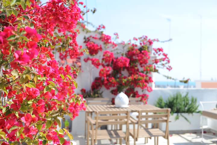 La Casetta Sul Porto - Molfetta