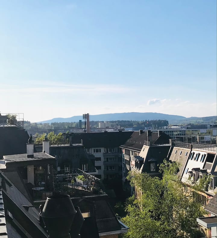 Charming, Cozy Flat With Large Terrasse Oerlikon - Kloten