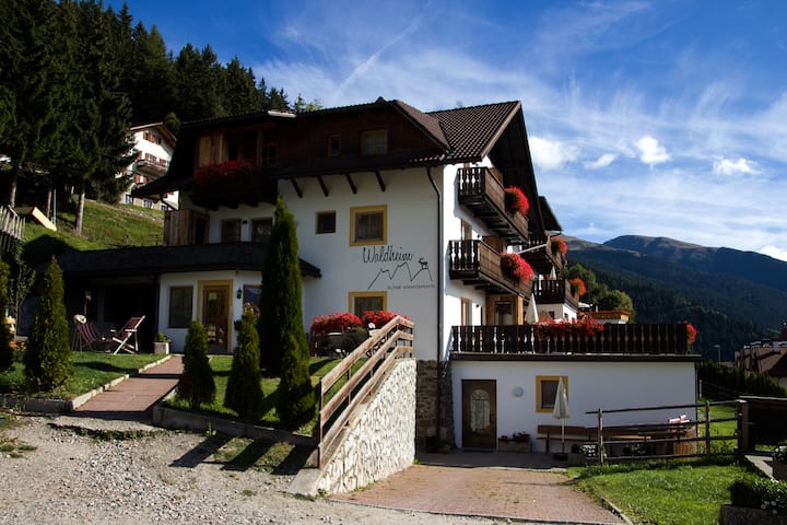 Waldheim Appartamenti Rosengarten - Plose