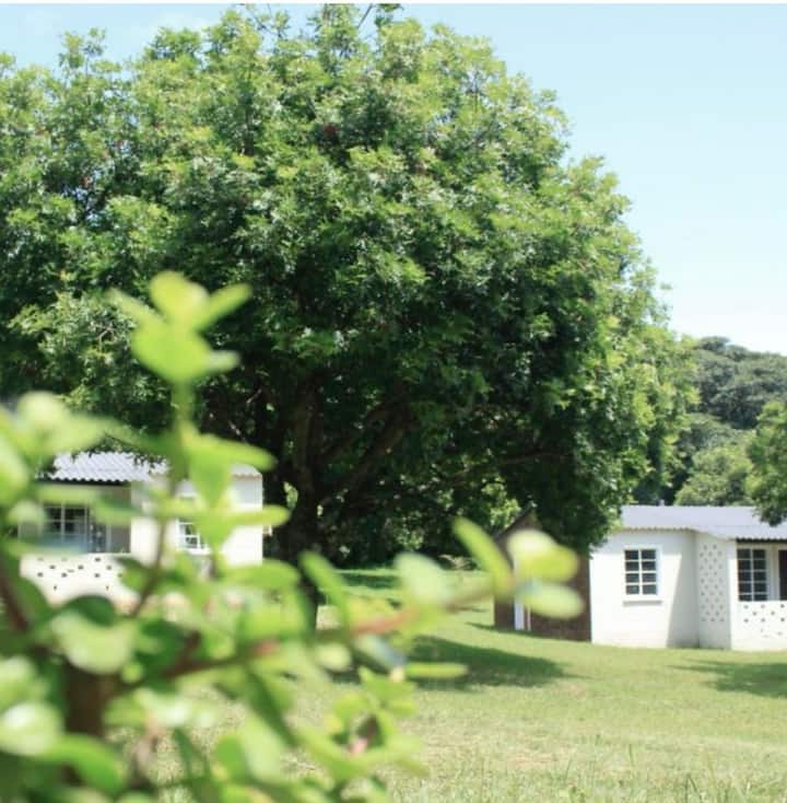 Tugela Mouth Vacation Rentals & Homes - KwaZulu-Natal, South Africa ...