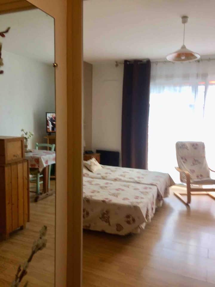 Grand Studio Lumineux Aix Centre Parking Balcon - Aix-les-Bains