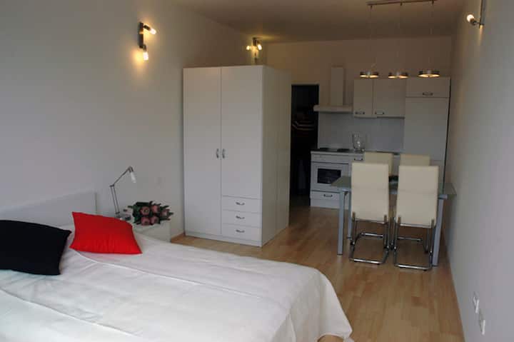 Bright & Modern Castle View Old Town Apartment 4.3 - Lubiana