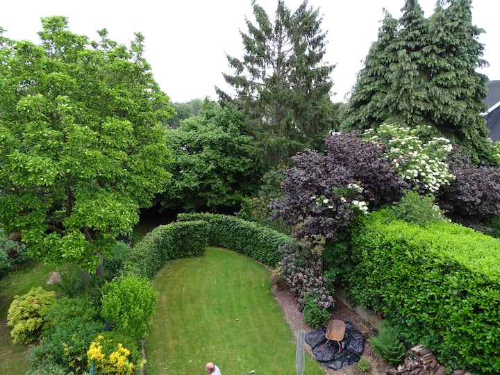 Maison Chaleureuse De 240 M2 Entourée De Verdure - Uccle