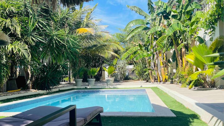 Tropical Garden & Pool - Aruba