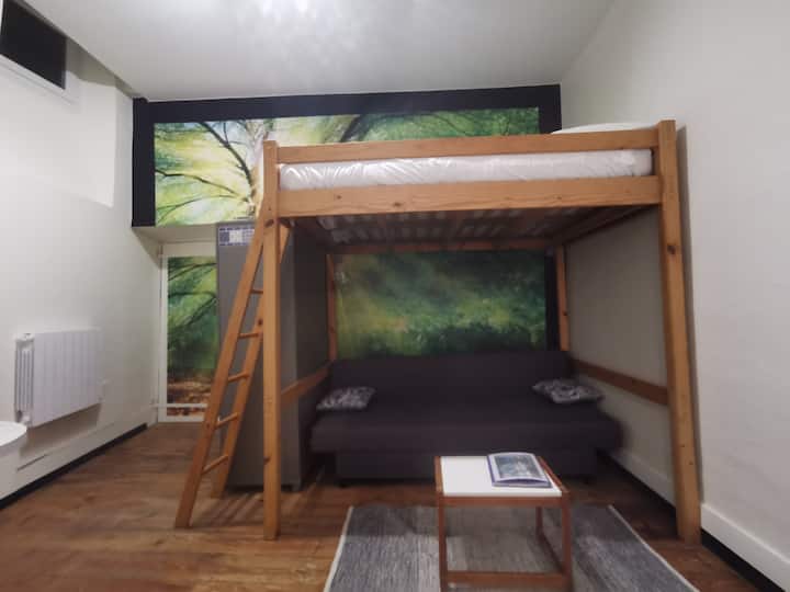 Petit Coin De Paradis, Studio, Rodez Cœur De Ville - Rodez