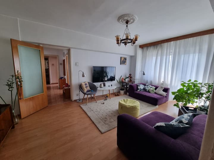 Spacious Rainbowapart - Wfa With Wi-fi+tv+ac - Cernica