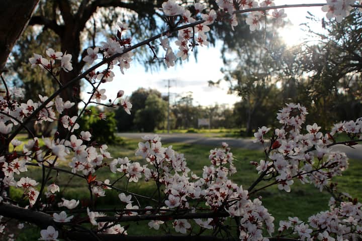 Echuca Escape - Echuca