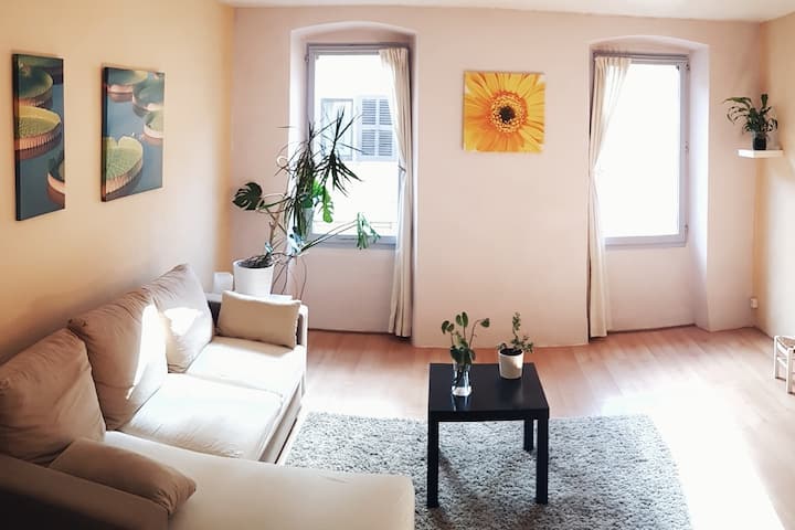 Renové, 50m2, Coeur D'annecy, Proche Lac/gare - Annecy