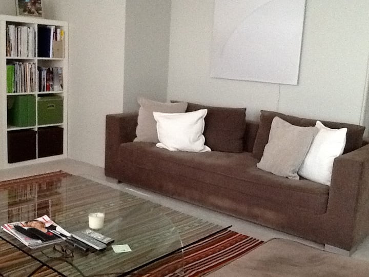 Vue Panoramique Sur Le Lac Leman - Versoix