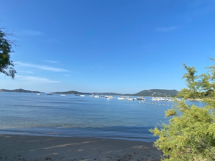 Villa Vardiola Front De Mer Avec Accès Piscine - Zonza
