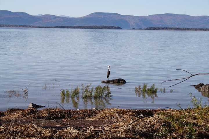 Chalet à Louer Montmagny Pour 31 Jours Ou Plus - Montmagny
