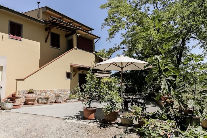 Ilvecchiocipresso - San Gimignano
