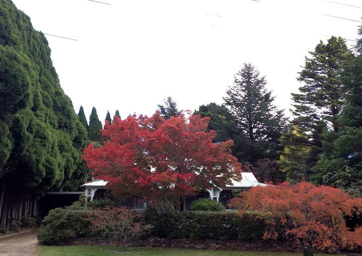 Ravenstone Blue Mountains Home - Katoomba