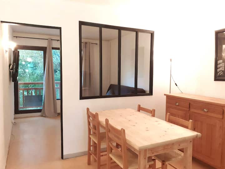 Logement Les 2 Alpes - Les Deux Alpes