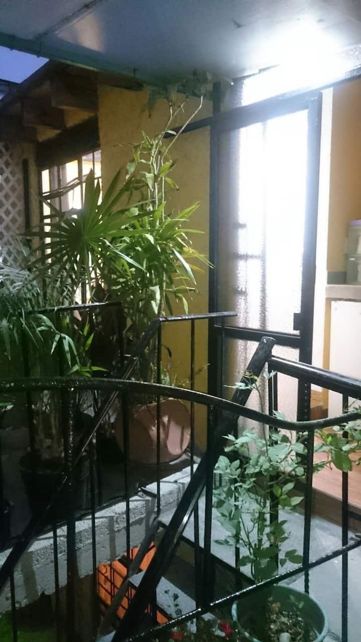Nice Studio In Condesa - Meksyk