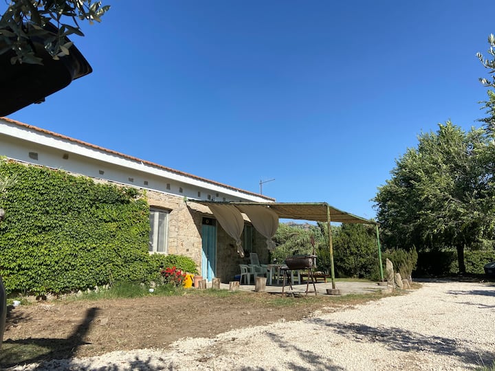 Old Cowshed With Private Garden - Sardinia