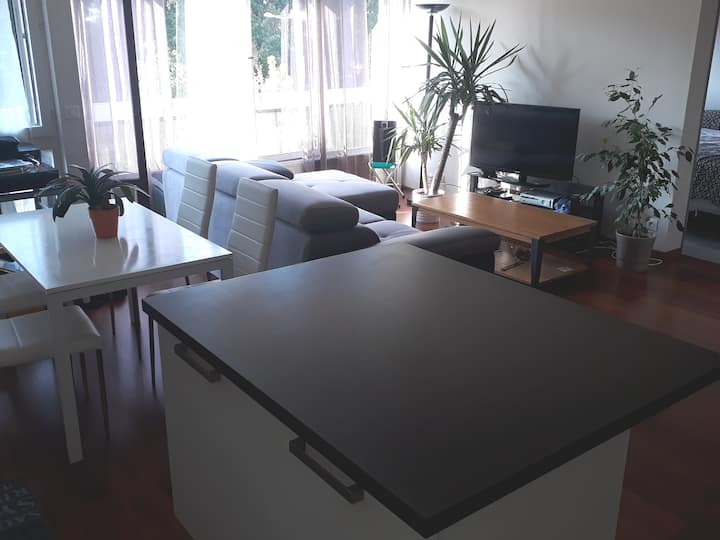 Joli T2 Seynod Centre Proche D'annecy - Alby-sur-Chéran