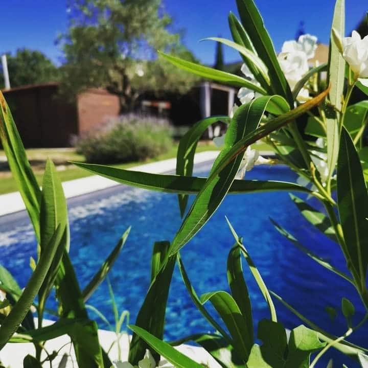 L'instant Luberon - Cheval-Blanc