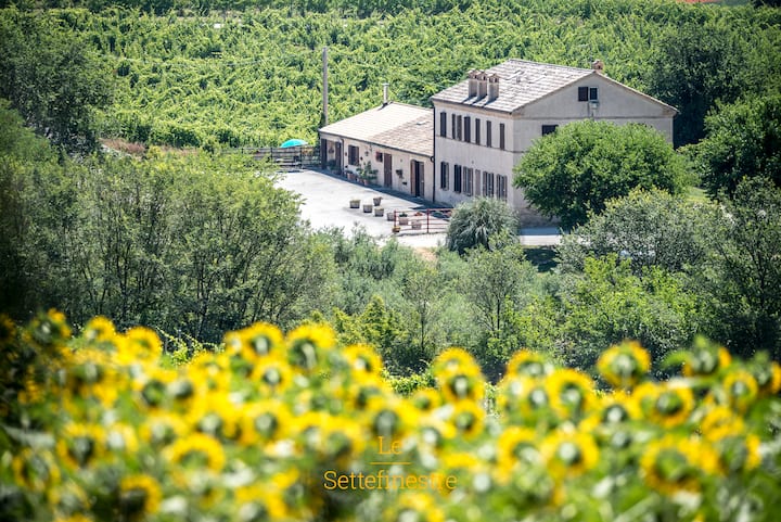 Recanati - Le Settefinestre Feliciani - Recanati