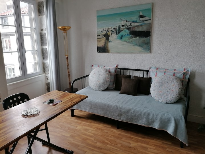 Appartement Des Beaux-arts, Cœur Centre-ville - Clermont-Ferrand