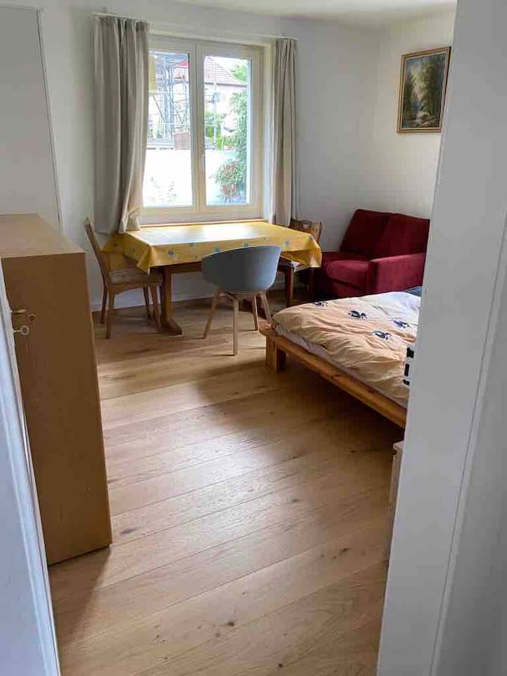 4 Wg Zimmer Mit Garten - Zürich