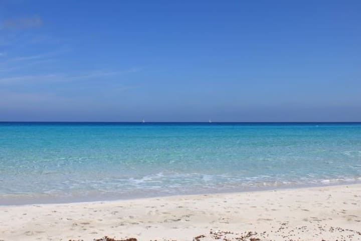 Villa Récente à 100m De La Plage Avec Jardin - Lucciana