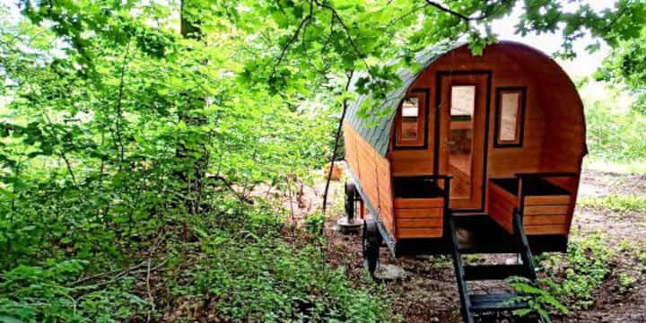 Logements Insolites, Tente De Réception, Nancy - Nancy