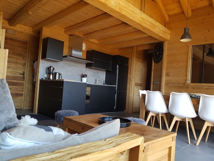 Magnifique Duplex - Ski Aux Pieds - 8 Personnes - Saint-Sorlin-d'Arves
