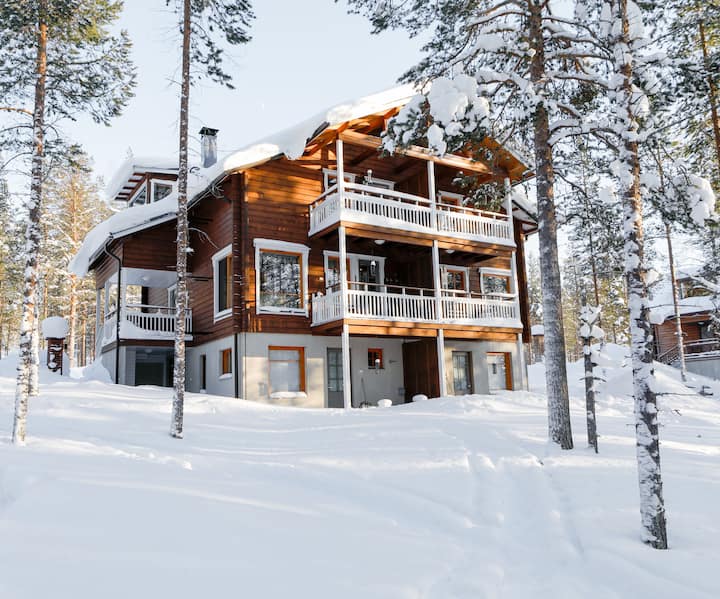 Lintupirtti B1 - Lapponia