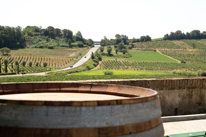 Monna Caterina Wine Resort Deluxe - Vinci