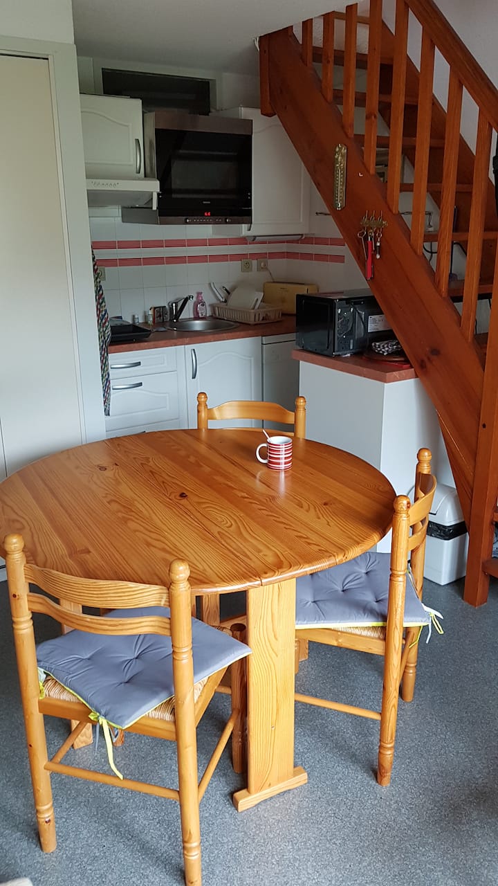 Duplex Idéalement Situé Avec Vue Sur Les Pyrénées - Saint-Lary-Soulan