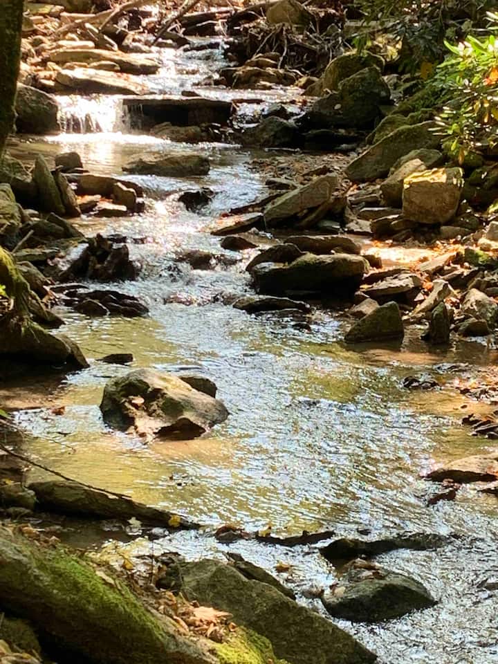 Creekside Beech Retreat - Beech Mountain, NC
