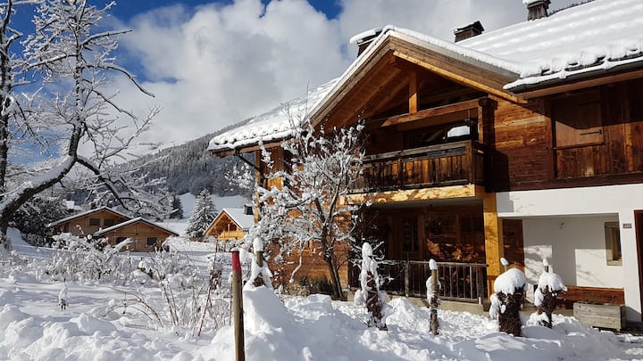 Charmant T3 Au Coeur Des Aravis - Haute-Savoie