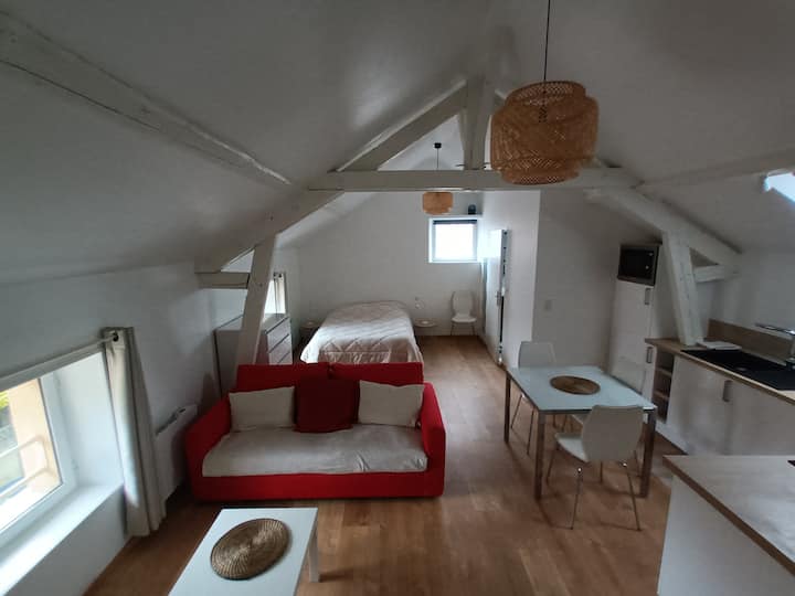 Appartement Entièrement Rénové En Bord De Marne - Épernay