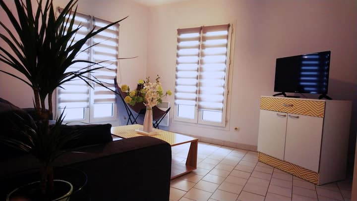Logement De 12 Pers, Beauval 4 Mn, Centre Ville - Saint-Aignan-sur-Cher