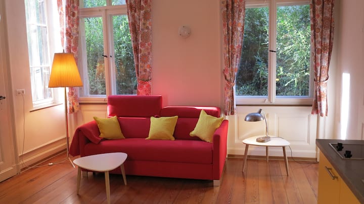 1-zimmer-app. In Gründerzeitvilla / Zentrale Lage - Tübingen