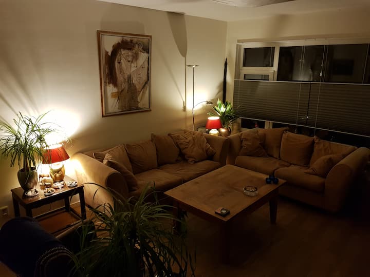 Romantic Apartment In Residential Area Of Voorburg - The Hague