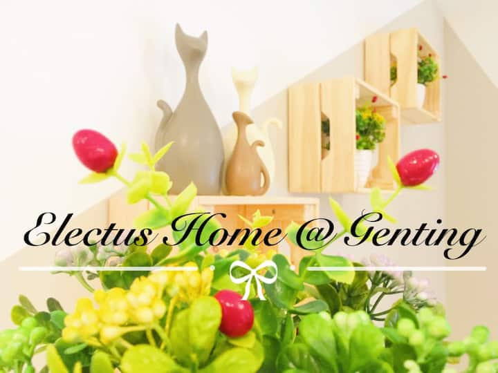 Electus 105 Studio @ Gentingmidhills (Wifi Tvbox) - Genting Highlands