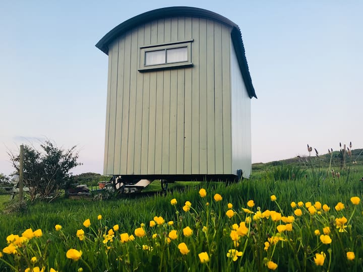 St.Ives: Magnificent Shepherd Huts by the sea - Shepherd's huts (UK ...