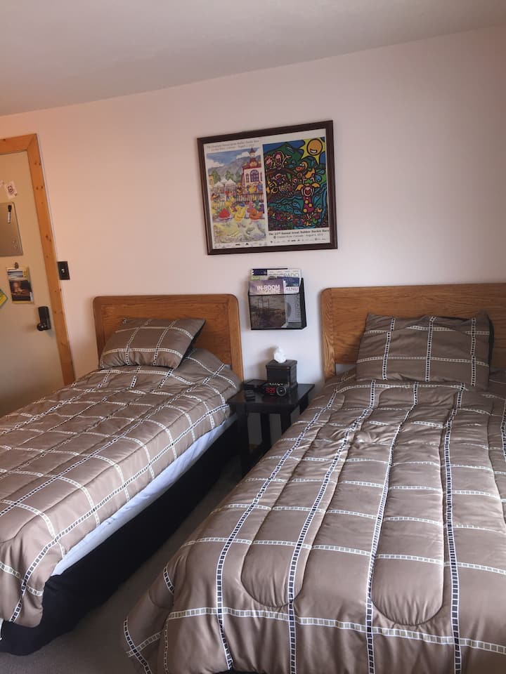 Clean And Cozy Chateaux Private Room X 2 Twin Beds - Crested Butte, CO