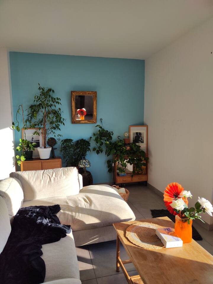 Appartement Charmant & Lumineux - Béziers