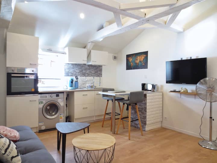 Centre Historique - Charmant T3 - 1h De L'ocean - Orthez